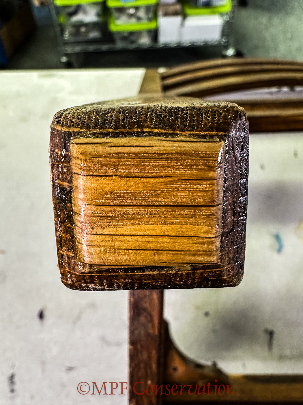 W24 5 22 STG STICKLEY FIN 3 SHELLAC FEET-0410 | MPF Conservation